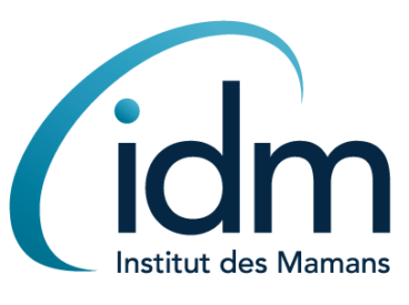 IDM logo - FJP